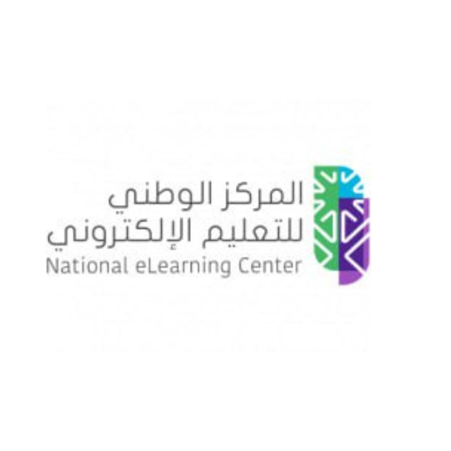 Najran University - NAJRAN UNIVERSITY