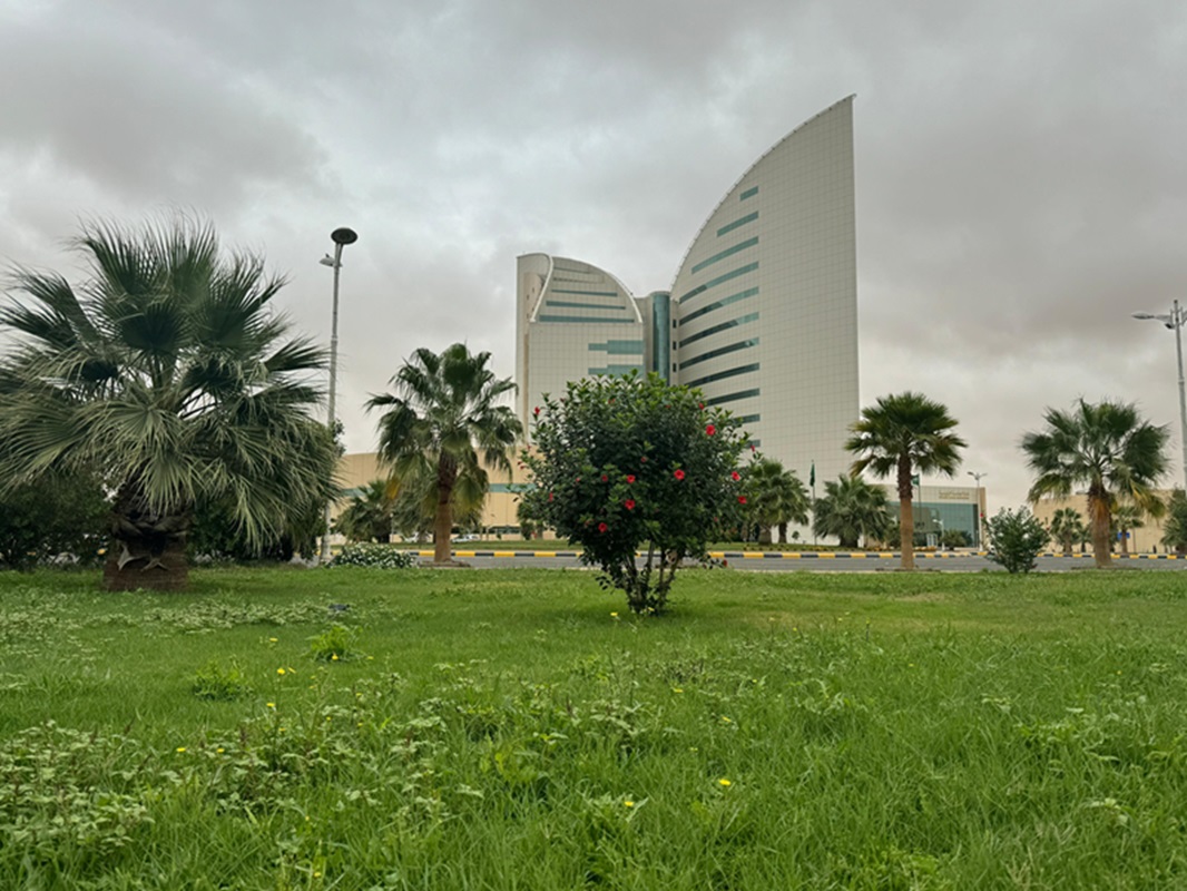 Najran University - NAJRAN UNIVERSITY
